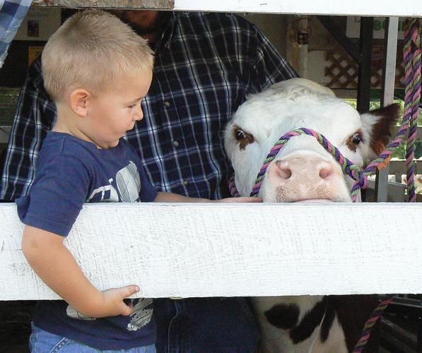 Shenandoah County Fair Photo Gallery | Nvdaily | nvdaily.com