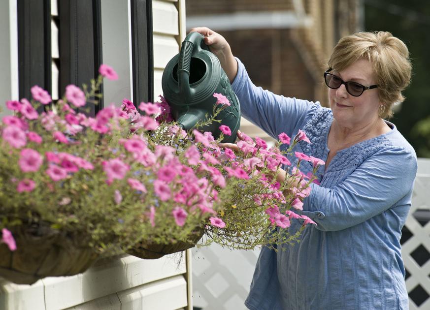 Refreshing Flowers | Local-news | nvdaily.com