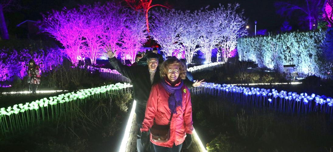 clearbrook va lights