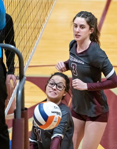 Wildcats come up short to Falcons in volleyball state semis | Nvdaily ...