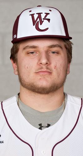 2019 All-Area Baseball Team | Nvdaily | nvdaily.com