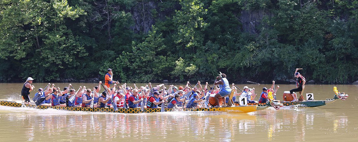 Dragon boats race for homeless animals: Waggin for Dragons event raises ...