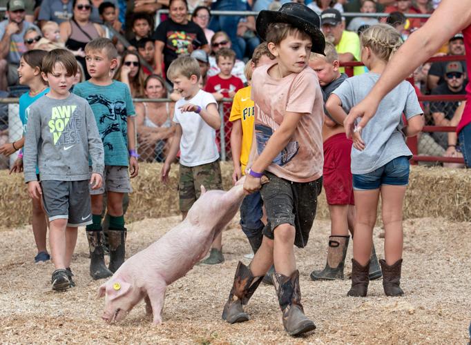 It's a scramble: Over 300 kids participate in Virginia's largest pig ...