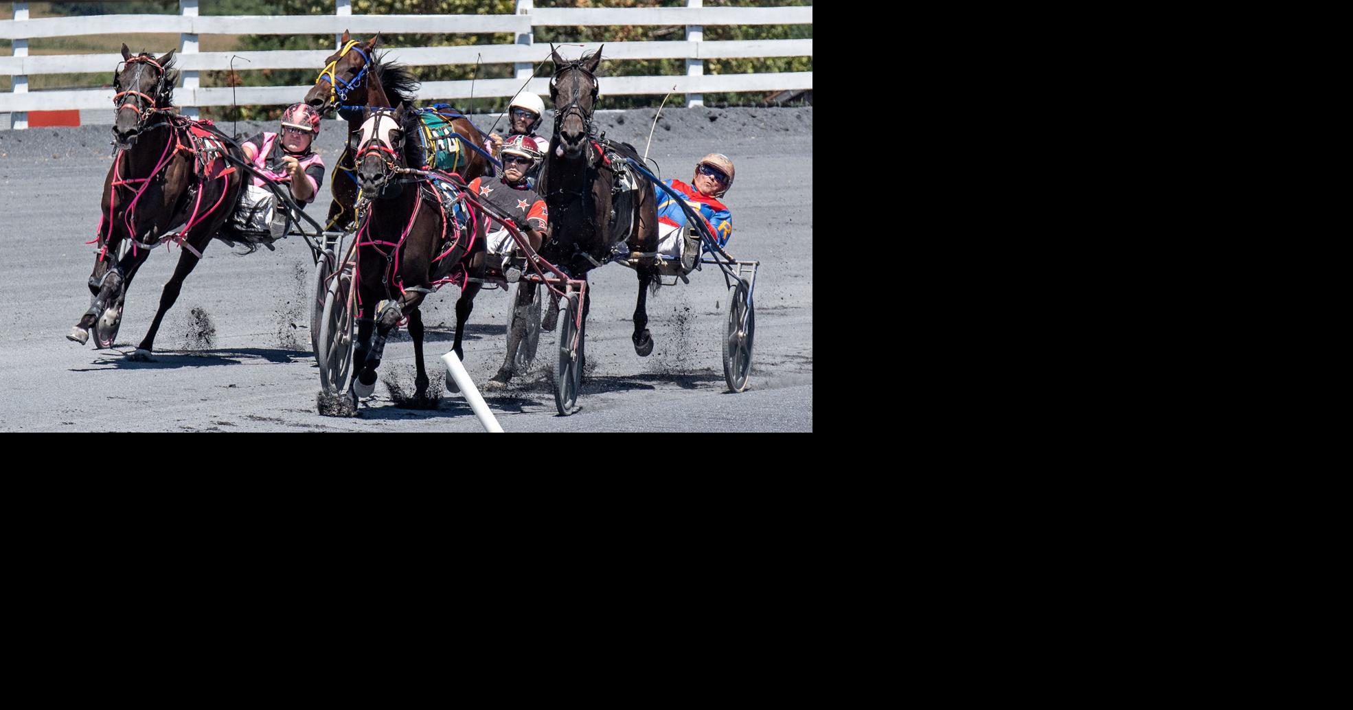 Fair Harness Racing | Nvdaily | nvdaily.com