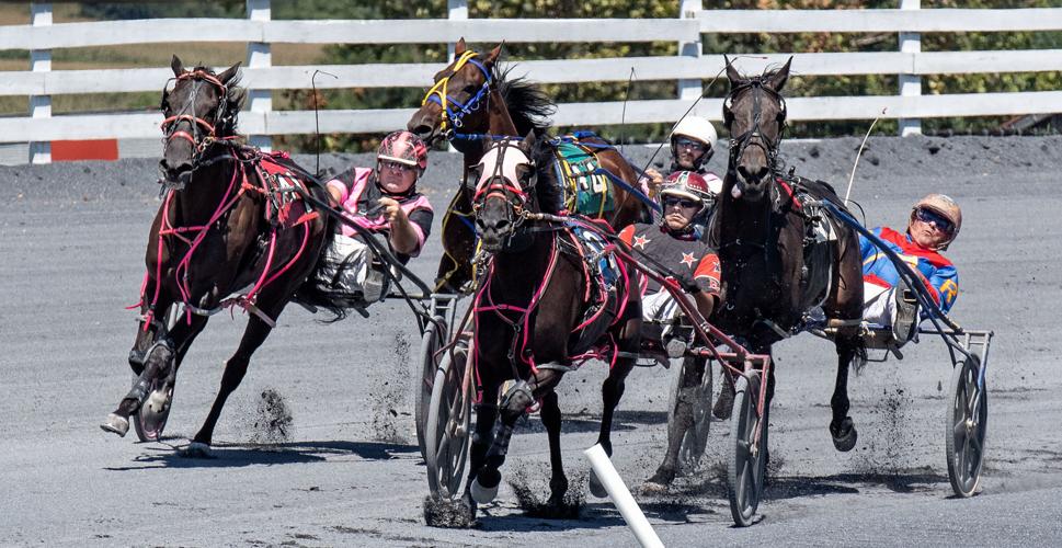 Fair Harness Racing | Nvdaily | nvdaily.com