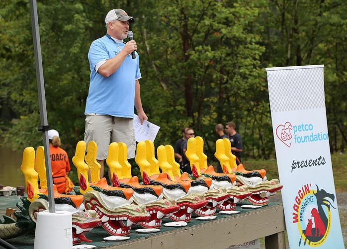 Dragon boats race for homeless animals: Waggin for Dragons event raises ...