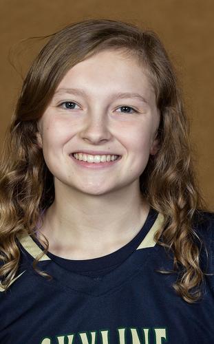 Skyline, Sherando girls win in tourney, Warrior boys fall in 3OT ...