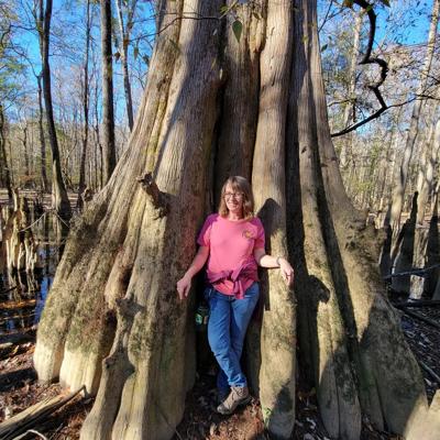 Wash away stress with a forest bath | Nvdaily | nvdaily.com