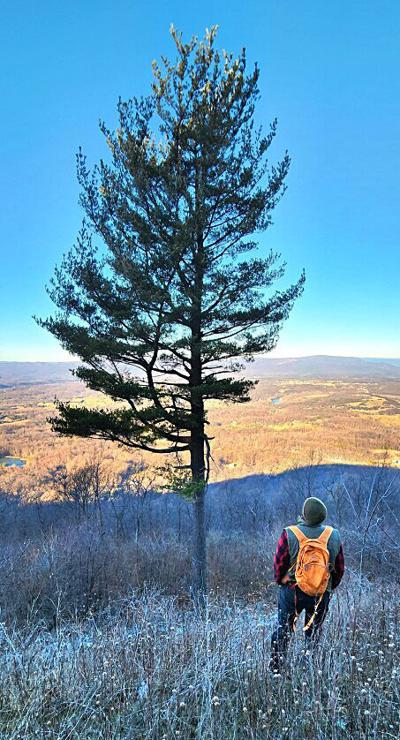 Front Royal's Earth Day event honors Lone Pine | Nvdaily | nvdaily.com