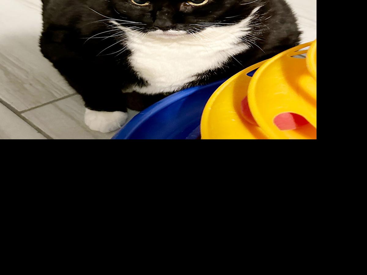 Community News | nvdaily.com