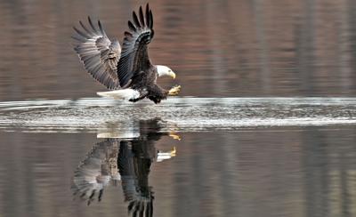 Fishing Expedition | Nvdaily | nvdaily.com