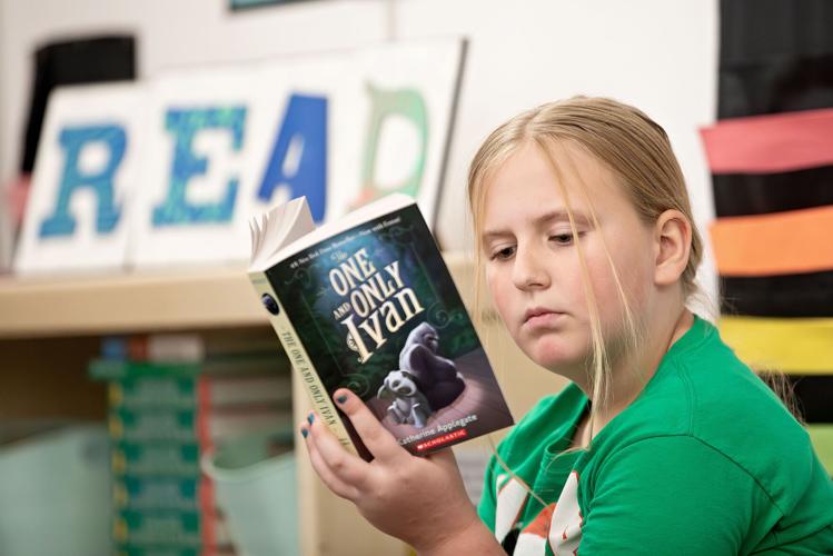Amid a literacy crisis, teachers aim to spark interest in reading ...