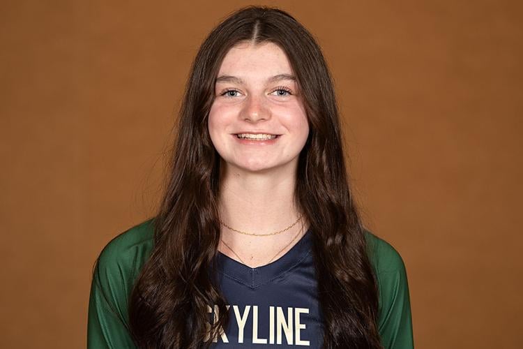 Prep roundup: Hawks sweep past Eagles in volleyball | Nvdaily | nvdaily.com