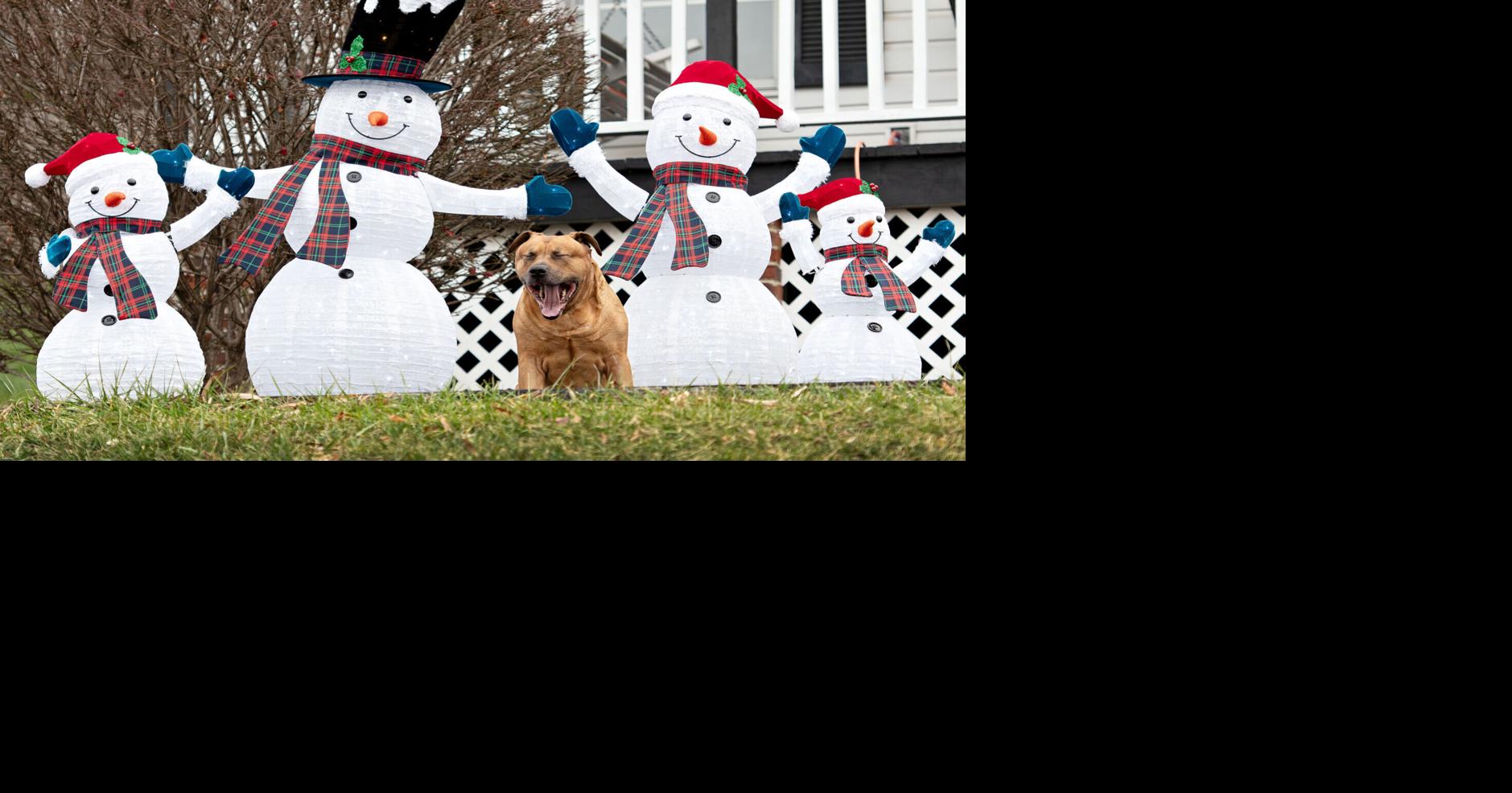 Hanging Out With Snowmen | Nvdaily | nvdaily.com