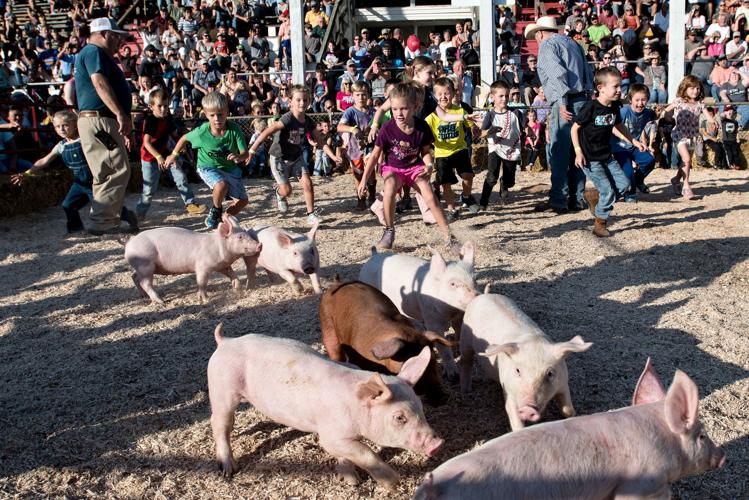 Kids scramble to catch a pig during annual event | Nvdaily | nvdaily.com