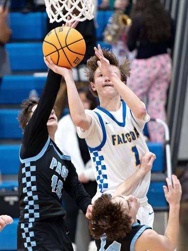 Falcons fall to Panthers for first district loss | Nvdaily | nvdaily.com