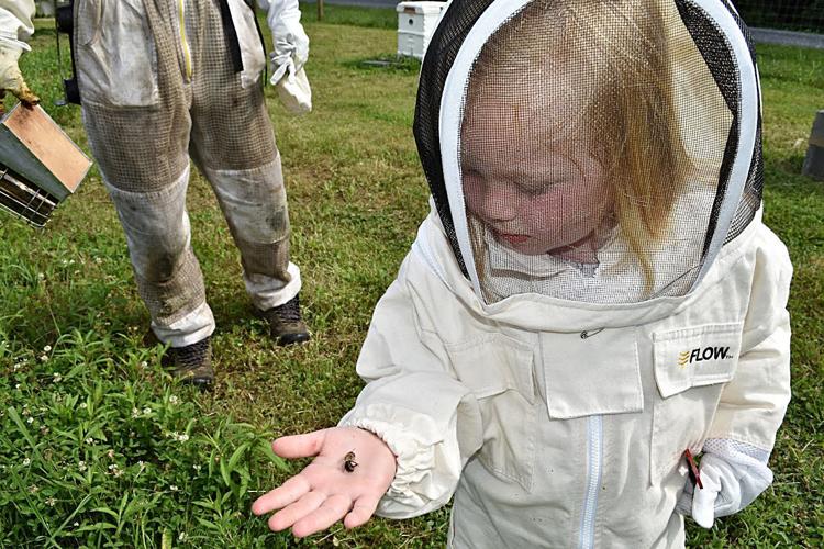 Tiny beekeeper | Nvdaily | nvdaily.com