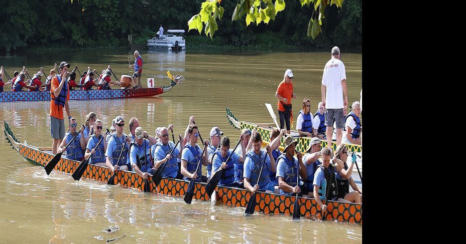 Dragon boats race for homeless animals: Waggin for Dragons event raises ...