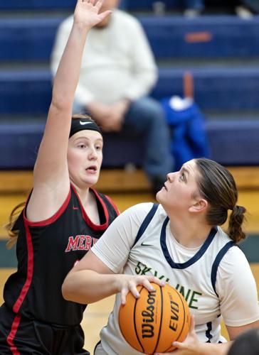 Short-handed Hawks fall to Mustangs | Nvdaily | nvdaily.com