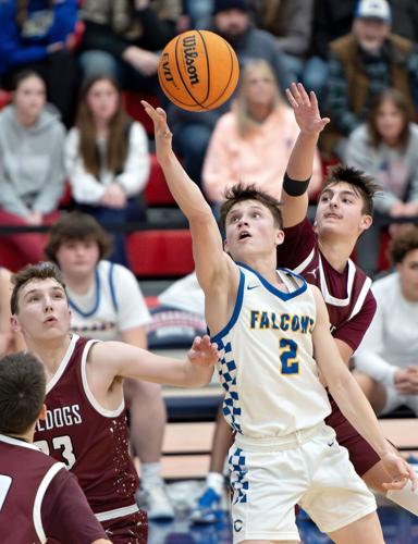 Slow start proves costly for Falcons in regional final loss to Luray | Nvdaily | nvdaily.com