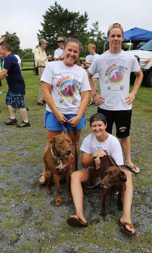 Dragon boats race for homeless animals: Waggin for Dragons event raises ...