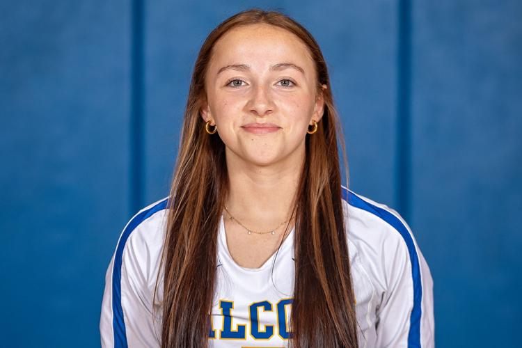 All-Bull Run District Volleyball Team | Nvdaily | nvdaily.com