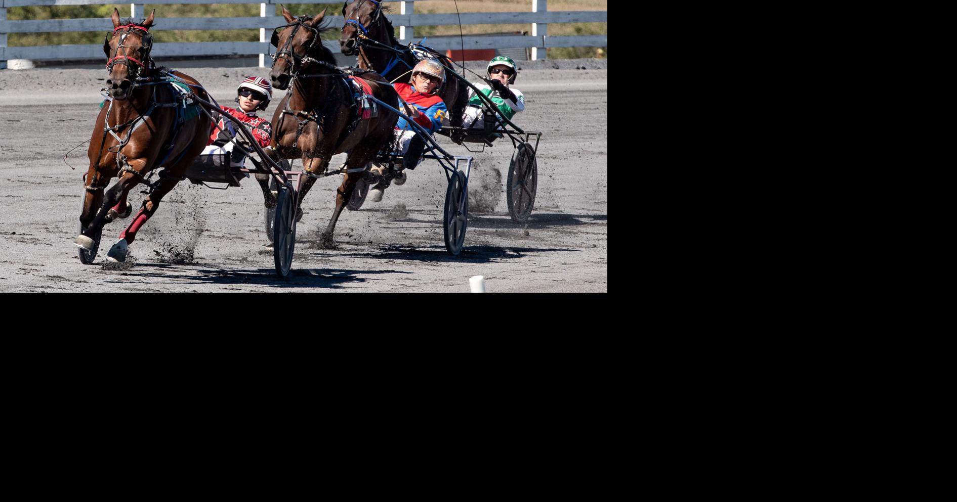 Spring harness racing season begins Saturday in Woodstock | Nvdaily ...