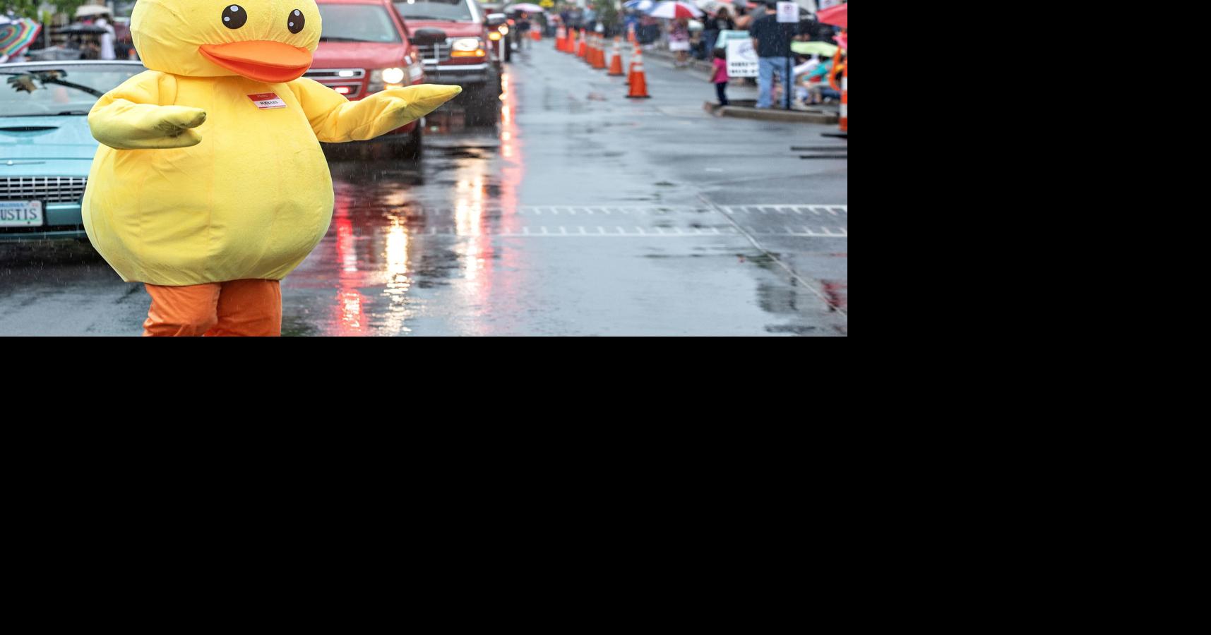 Duck Weather For Mayfest Parade | Nvdaily | nvdaily.com