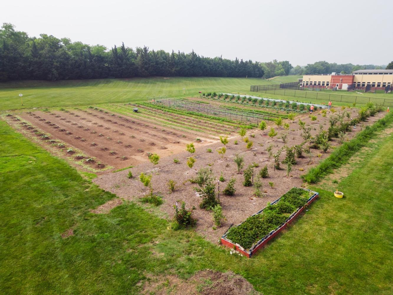 Working in jail garden helps inmates earn landscaping, horticulture ...