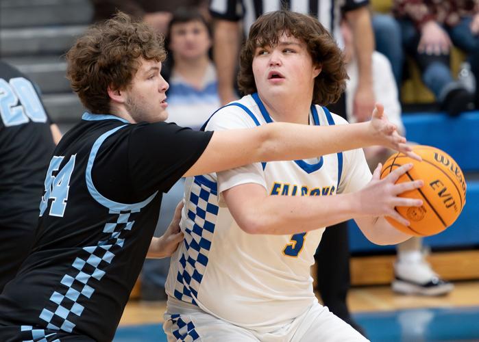 Falcons fall to Panthers for first district loss | Nvdaily | nvdaily.com