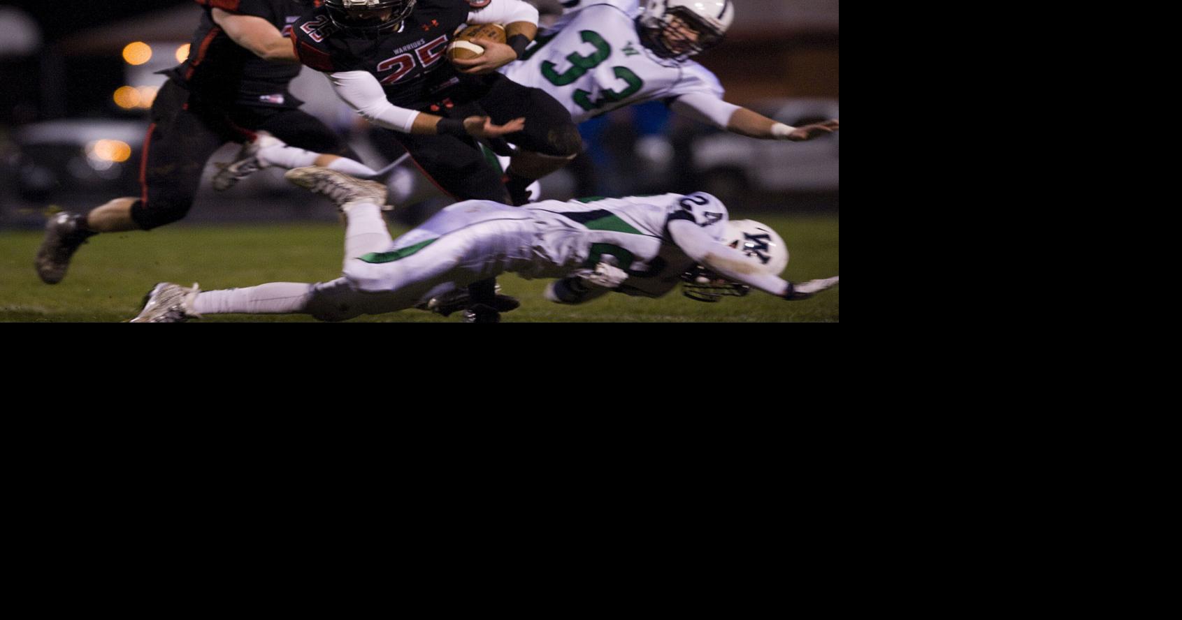 Wolverines knock off Warriors | Local-sports | nvdaily.com