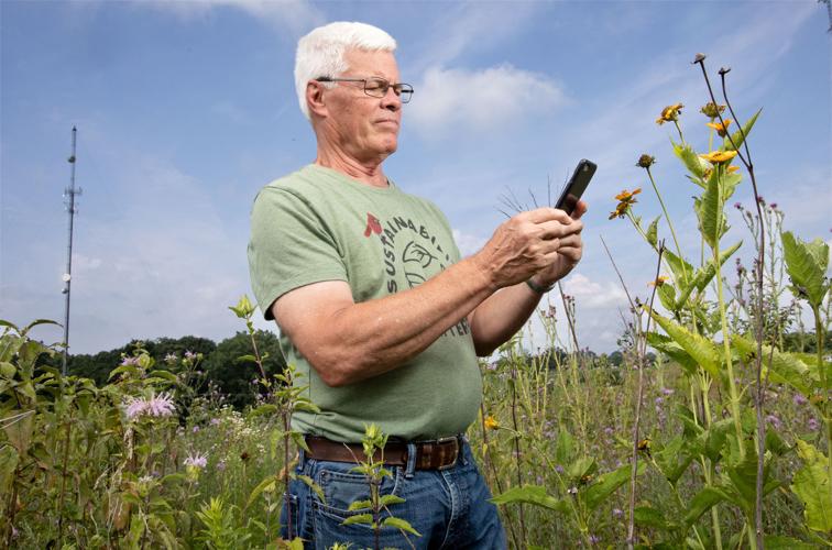 Volunteers studying pollinator plants at Shenandoah County landfill ...