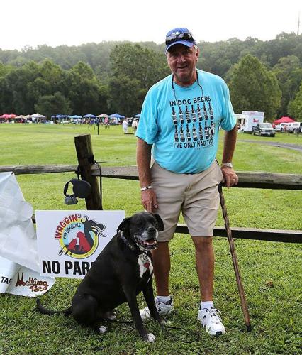 Dragon boats race for homeless animals: Waggin for Dragons event raises ...