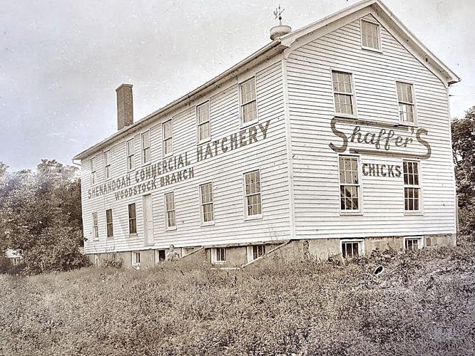 'We cooked a lot of chicken': As he retires, barbecue master George ...