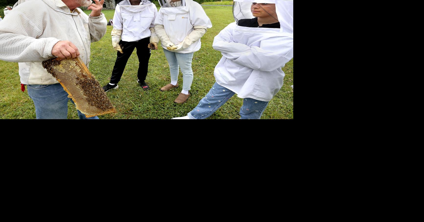 Governor's school students learn about honeybees, beekeeping | Nvdaily ...
