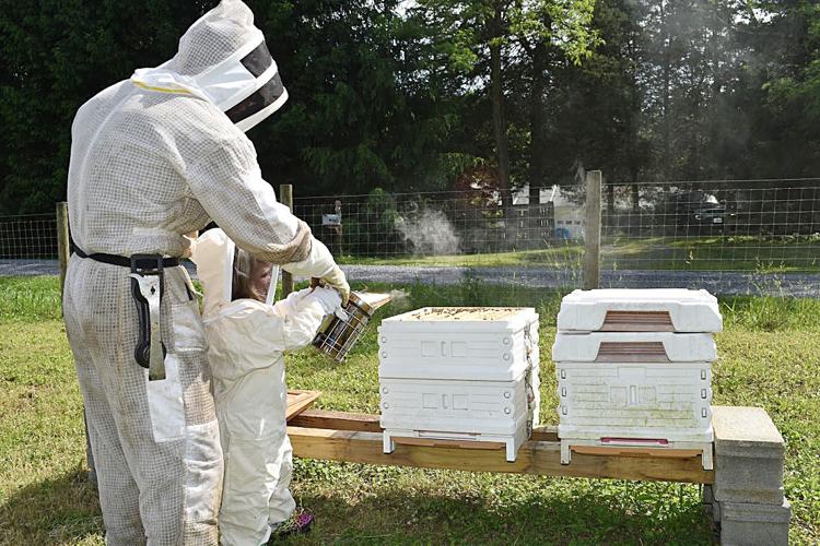 Tiny beekeeper | Nvdaily | nvdaily.com