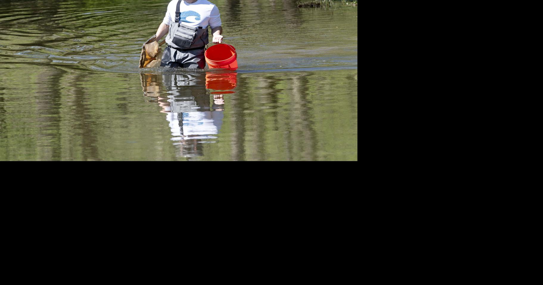 Wading Game | Featured Stand Alone Photo | nvdaily.com