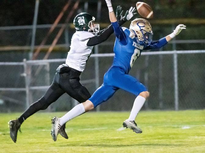 Falcons rally past Buckingham County in regionals | Nvdaily | nvdaily.com