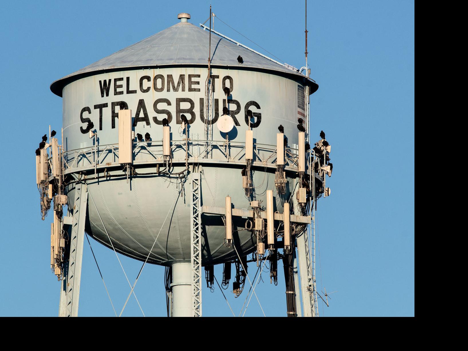 Strasburg | nvdaily.com