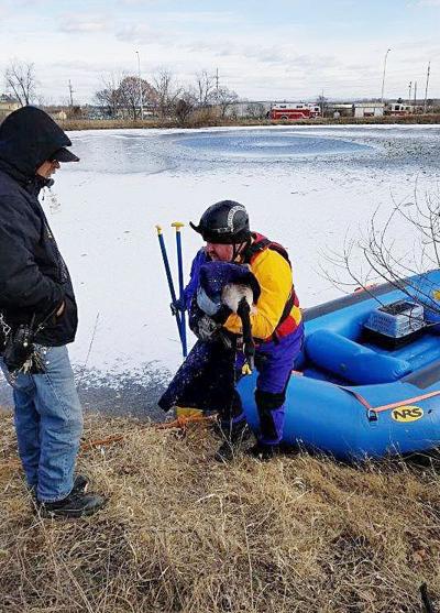Icy rescue: Firefighters pluck ‘gentlemanly’ goose from frozen pond ...