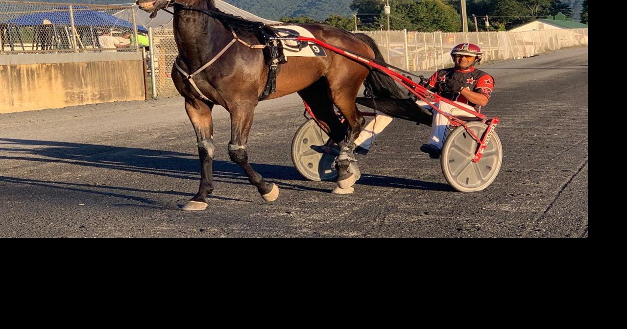This is final weekend for Shenandoah Downs harness racing | Nvdaily ...
