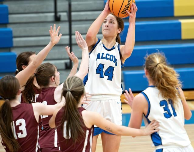 Quick start sparks Central past Luray in tourney quarterfinals ...