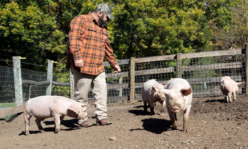 Rooted in history, 123-year-old farm is growing in new ways | Nvdaily ...