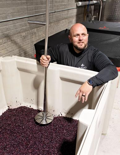 'This is an experience': Reitano's new tasting room offers wine, beer ...