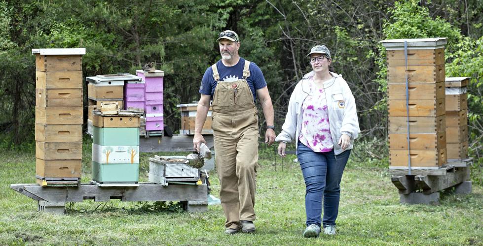 Saving the bees: Fort Valley beekeepers fight climate change, invasive ...