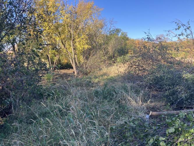 O'Brien County Conservation removes trees around Mill Creek Park dam ...