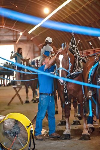 Team roping returns to Clay County rodeo | News | nwestiowa.com