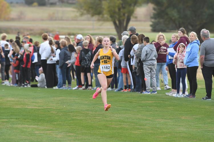 Lang advances to state for Hinton cross country | Sentinel | nwestiowa.com