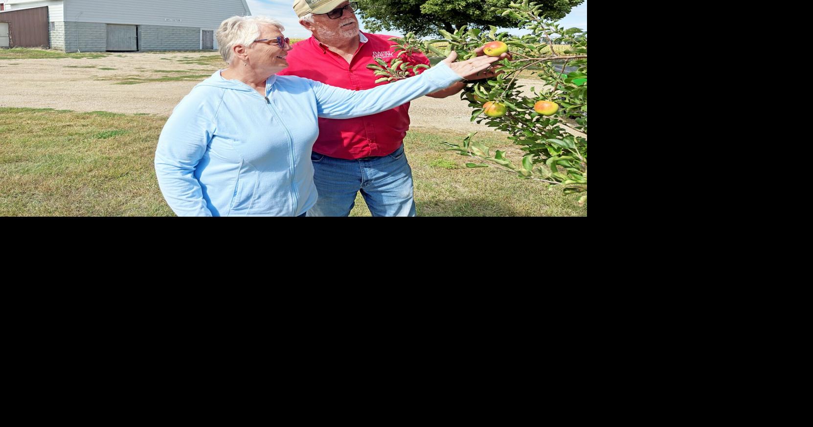 Two N'West Iowa apple orchards enjoy bumper crop | News | nwestiowa.com
