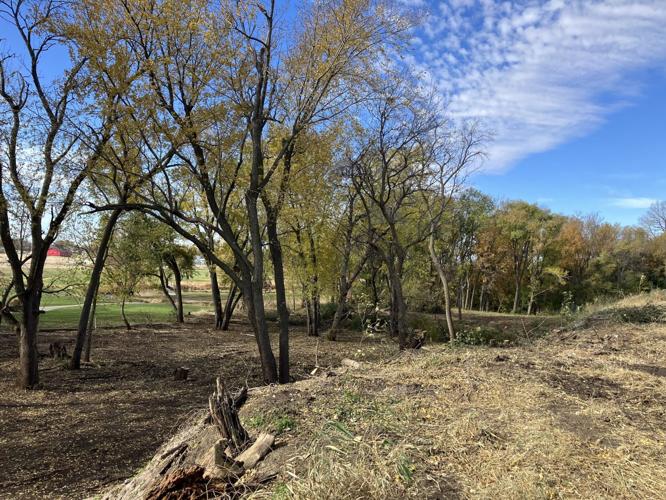 O'Brien County Conservation removes trees around Mill Creek Park dam ...